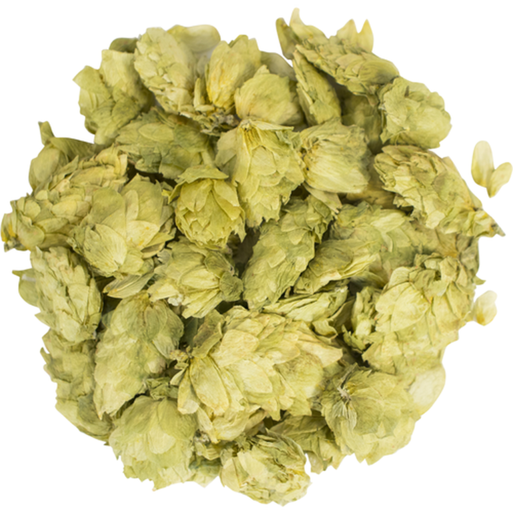 Hops Archives - Brew Your Own Brew